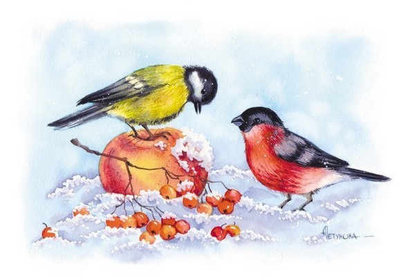 Tube oiseaux en hiver